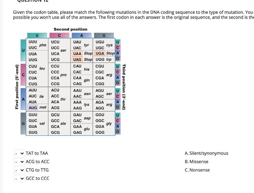 Solved Given the codon table, please match the following | Chegg.com
