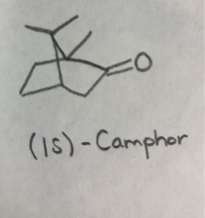Solved Use a carbon numbering system to indicate the two | Chegg.com