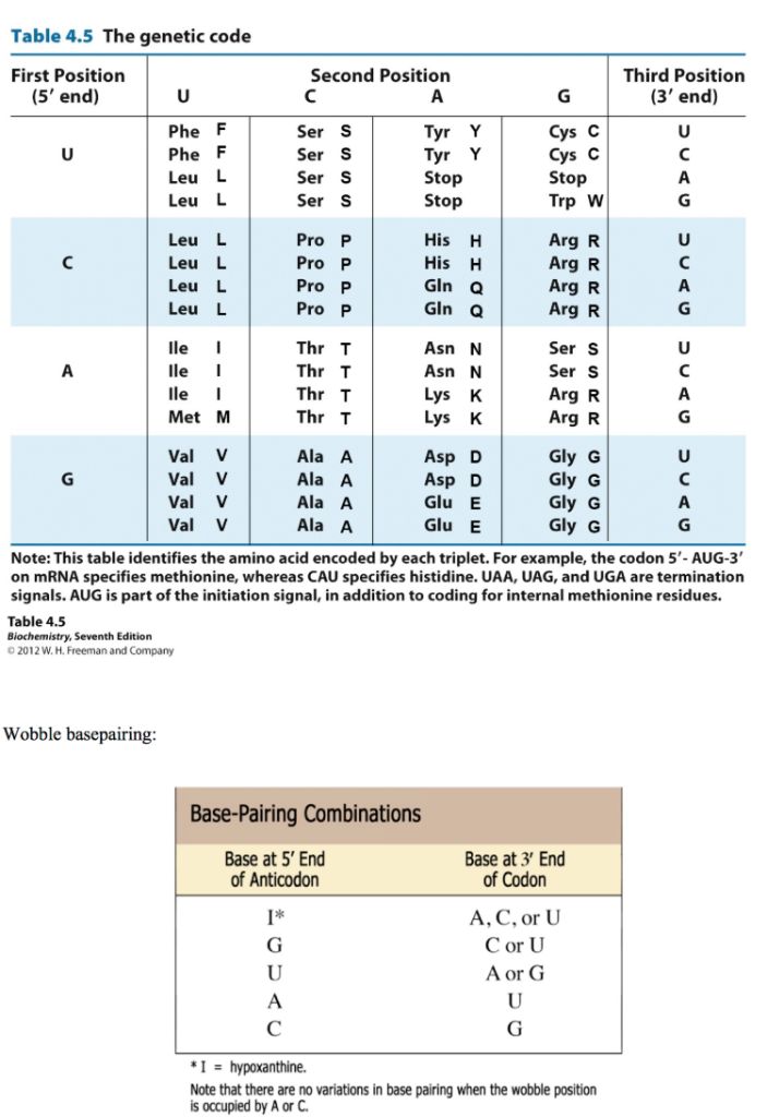 Solved The following short DNA sequence codes for a small | Chegg.com