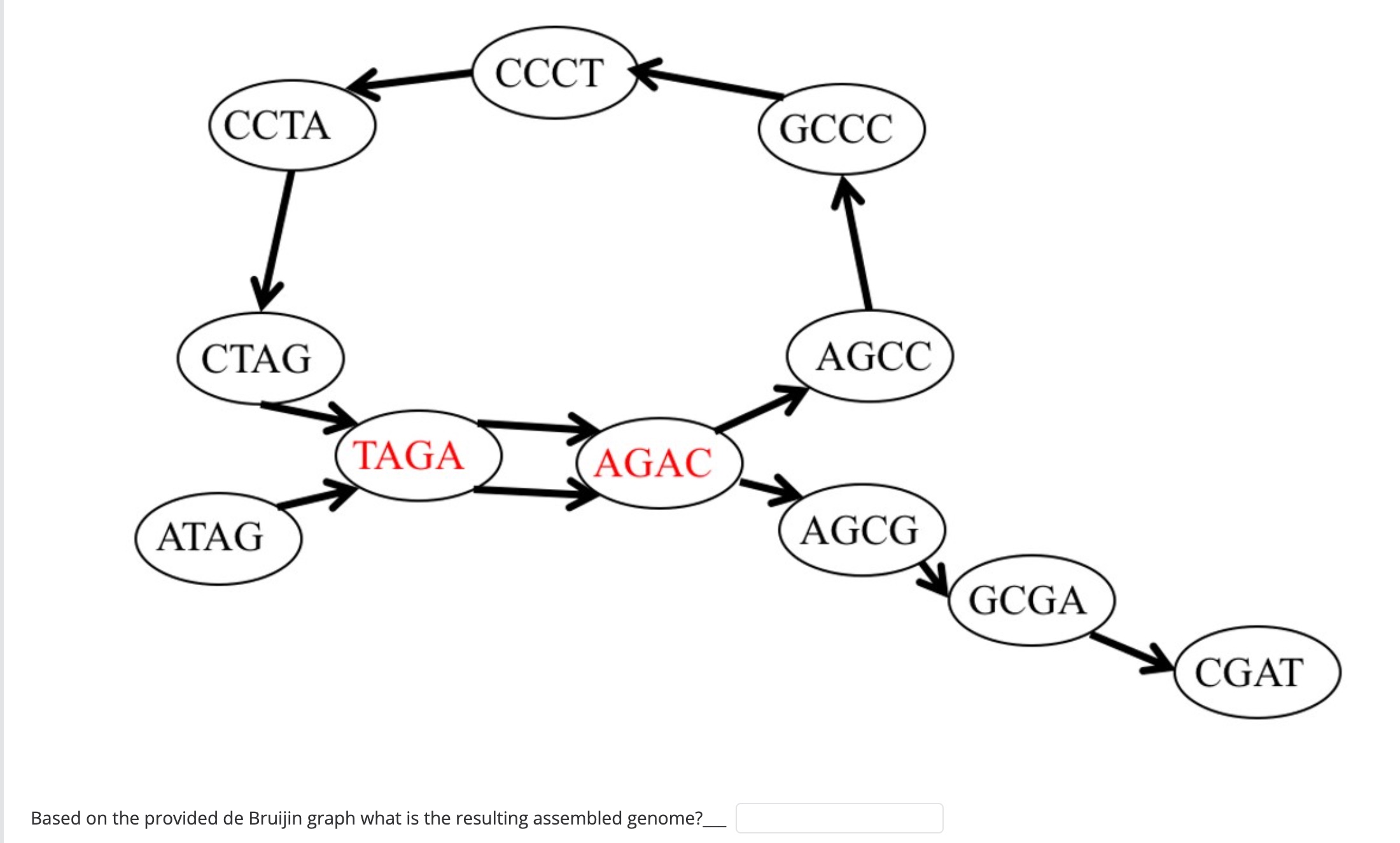 CCTA CTAG CCCT TAGA AGAC ATAG Based on the provided | Chegg.com
