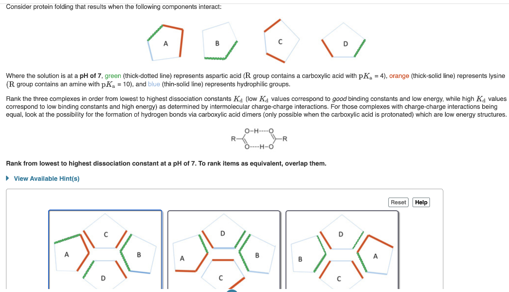 Solved Consider protein folding that results when the | Chegg.com