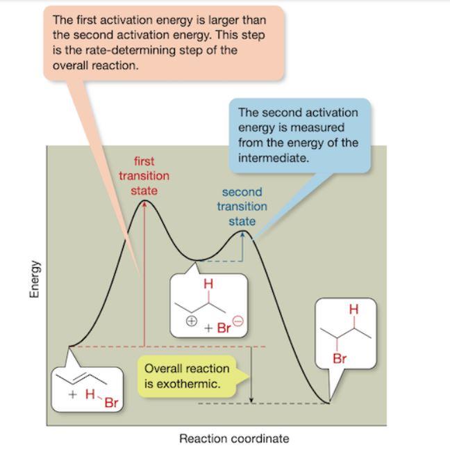 Solved If the reverse of this reaction was to occur, would | Chegg.com