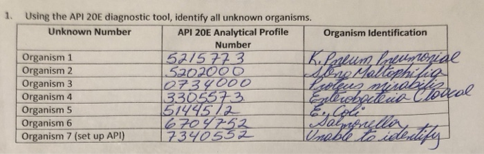 Solved Microbiology-Virtual API 20E lab 1. Using the API 20E | Chegg.com
