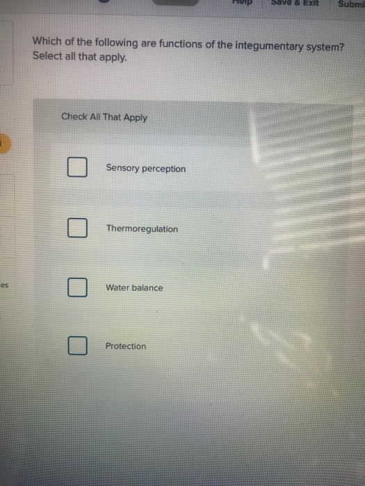 Solved r3 Review Questio..SavedHelp Save & Exit Submit Check | Chegg.com