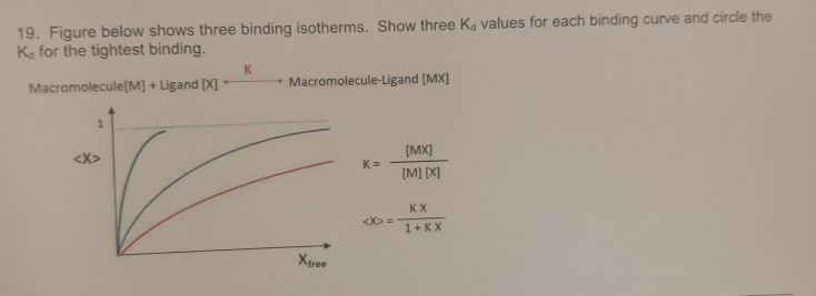 19. Figure below shows three binding isotherms. Show | Chegg.com