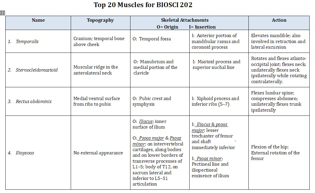 Solved Exercise : Joint movements For each of the following | Chegg.com