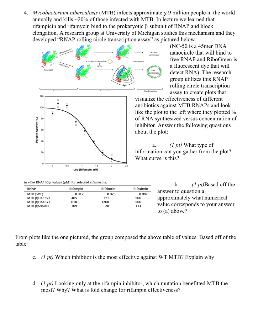 Solved sam synthesized NCAS Template 4. Mycobacterium | Chegg.com