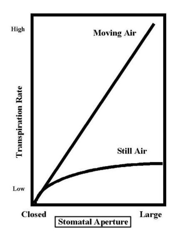 Solved The figure shows how the transpiration rate depends | Chegg.com
