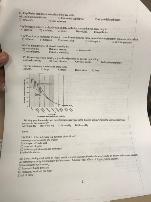 Solved 13) Capillaries that have a complete lining are | Chegg.com