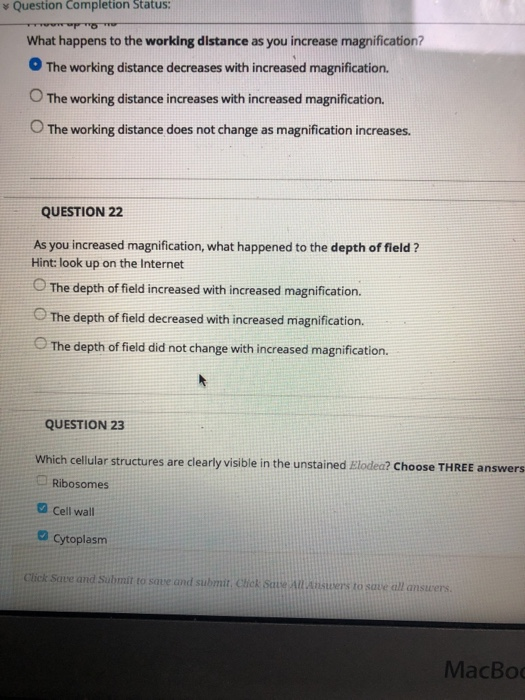 Solved s Question Completion Status: What happens to the | Chegg.com