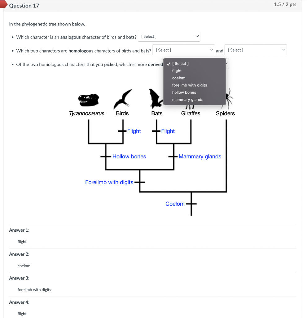 Solved In the phylogenetic tree shown below, - Which | Chegg.com