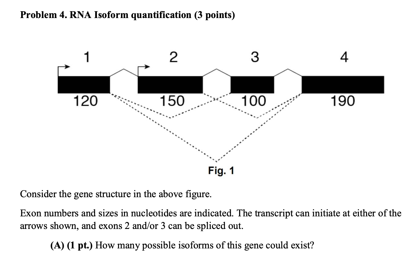 Solved Problem 4. RNA Isoform quantification (3 points) 1 2 | Chegg.com