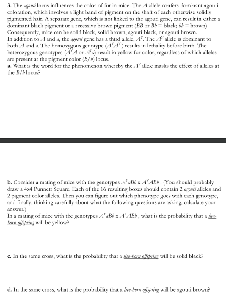 Solved 3. The agouti locus influences the color of fur in | Chegg.com