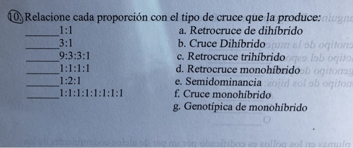 Solved 10 Relacione cada proporción con el tipo de cruce que | Chegg.com