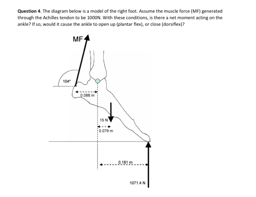 Solved Question 4. The diagram below is a model of the right | Chegg.com