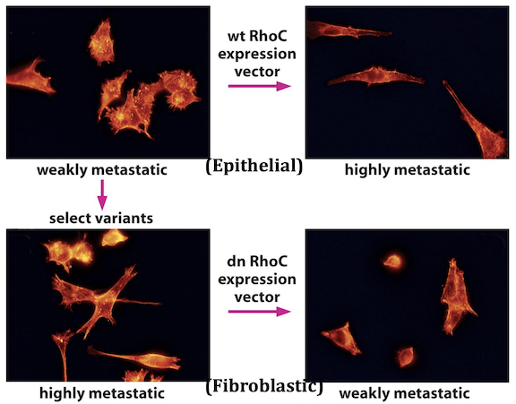 Consider the following diagram: a) Describe a way by | Chegg.com