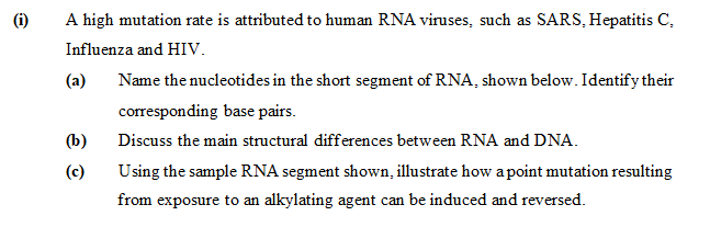 Solved i) A high mutation rate is attributed to human RNA | Chegg.com