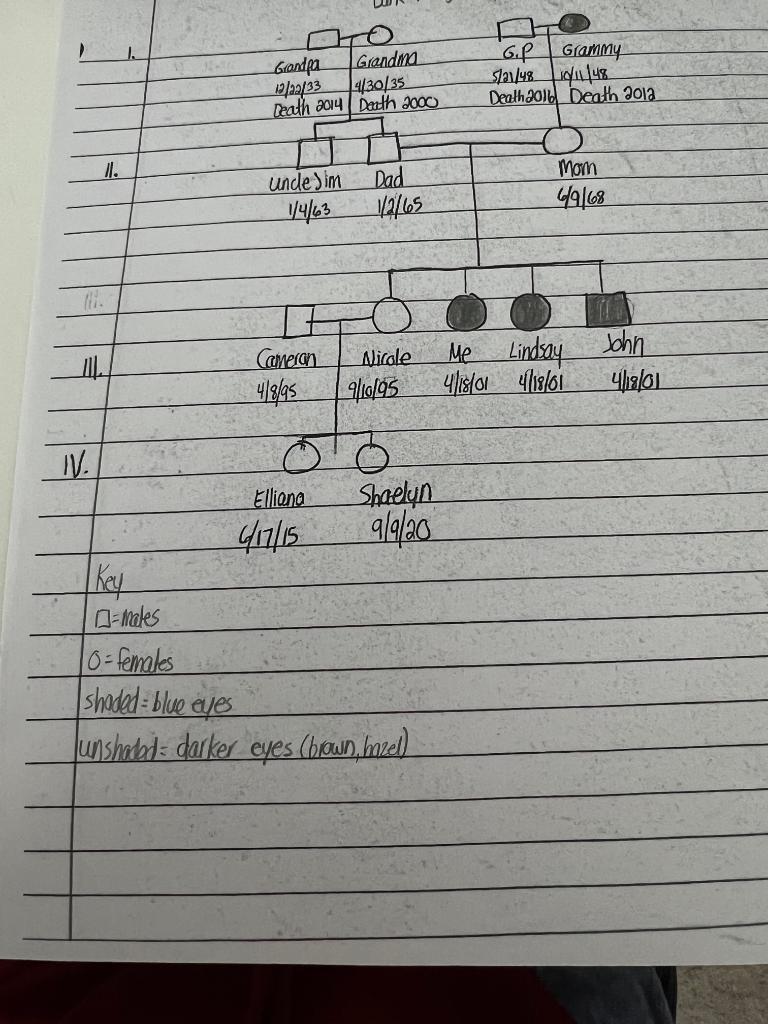 Solved Darker eyes are supposed to be dominant over blue | Chegg.com