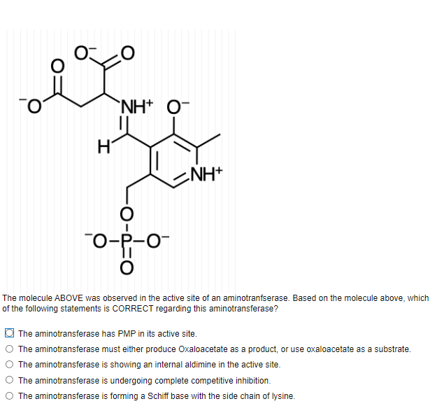 Solved NH* 0- H NH+ O- 080 The molecule ABOVE was observed | Chegg.com