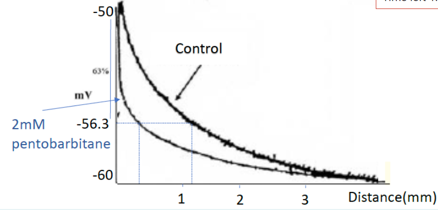 Solved The graph above shows experimental data on the effect | Chegg.com