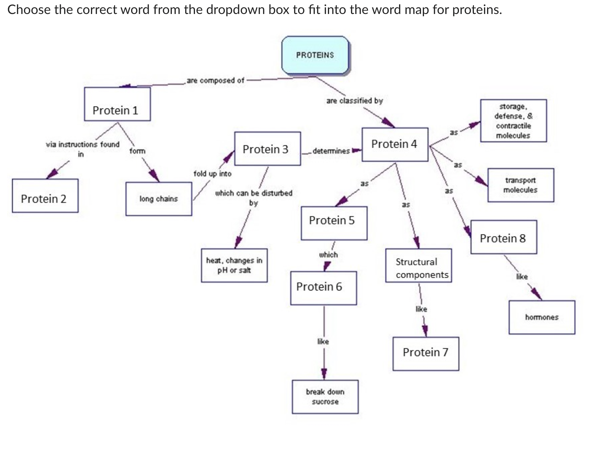 Solved Choose the correct word from the dropdown box to fit | Chegg.com