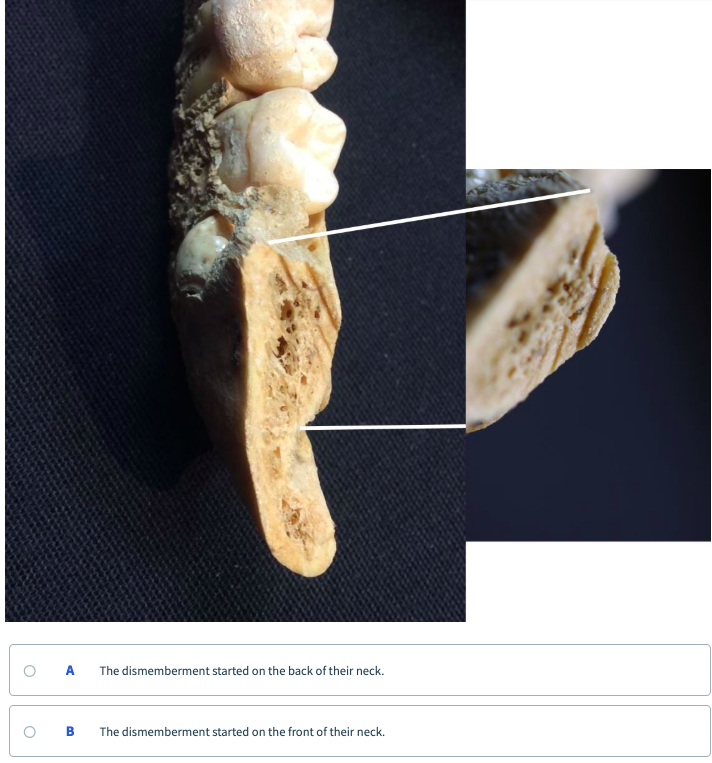 Solved There is a considerable amount of information here | Chegg.com