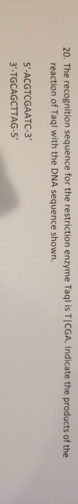 Solved 20. The recognition sequence for the restriction | Chegg.com