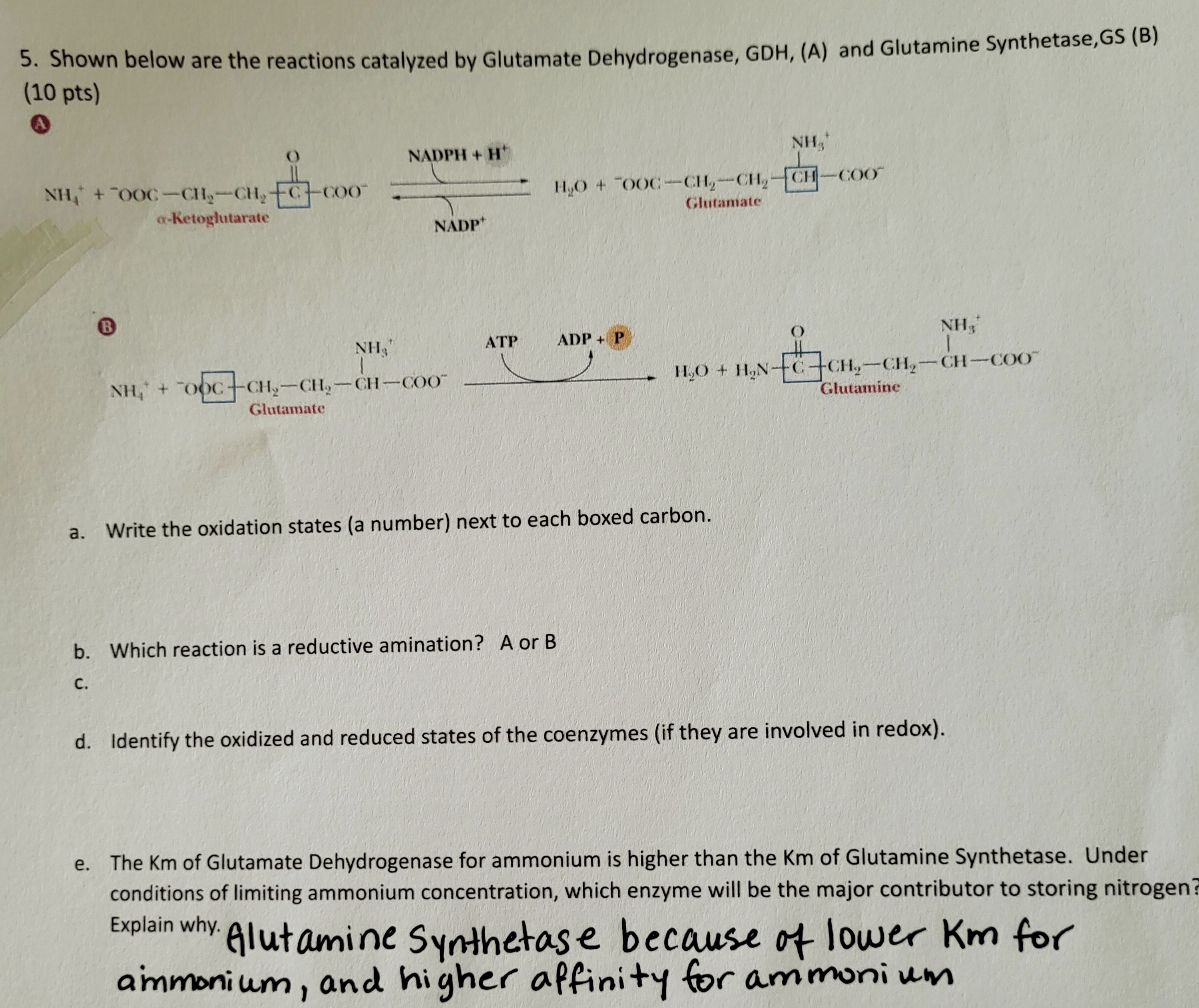 Solved 5. Shown below are the reactions catalyzed by | Chegg.com