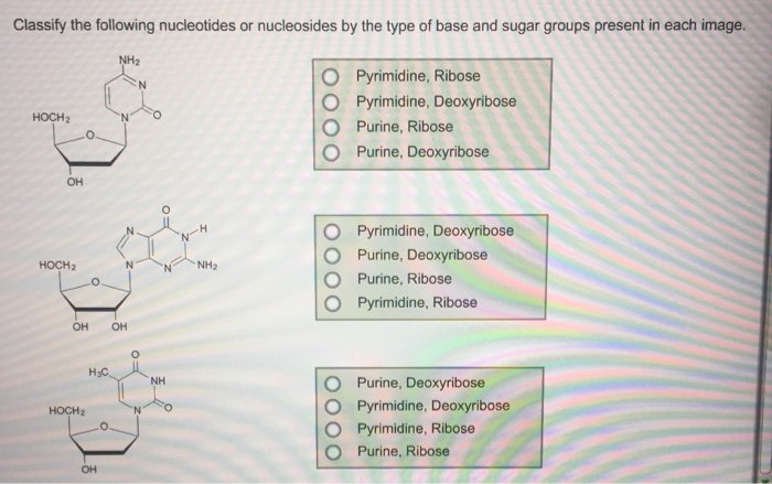 Solved Classify the following nucleotides or nucleosides by | Chegg.com