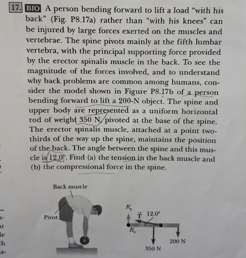 Solved 17 BIO A person bending forward to lift a load "with | Chegg.com