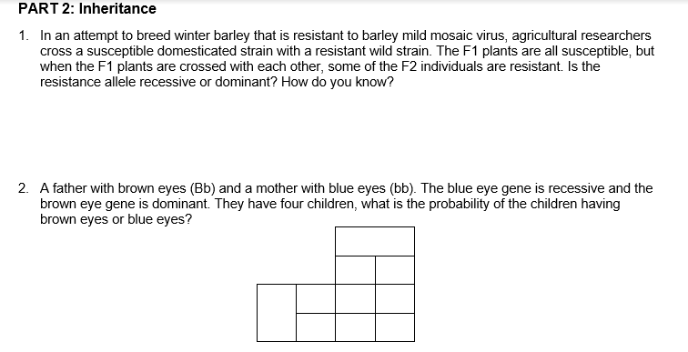 Solved PART 2: Inheritance 1. In an attempt to breed winter | Chegg.com