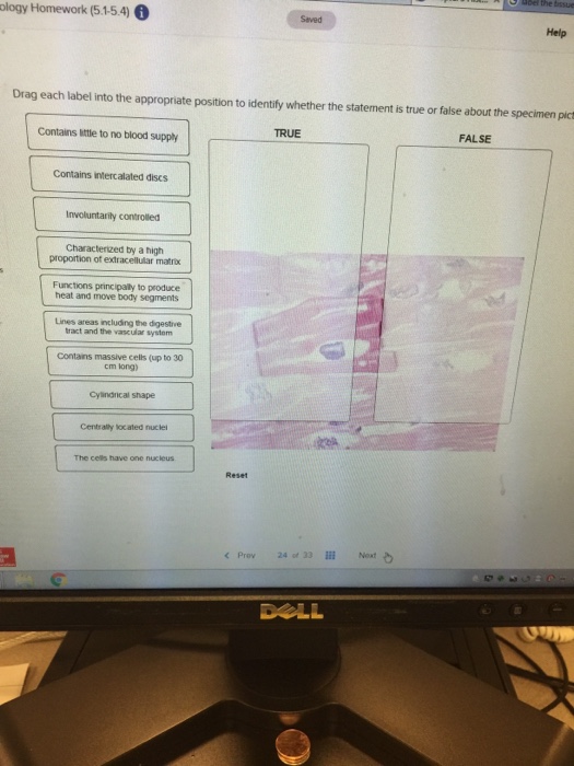 Solved Drag Each Label Into The Appropriate Position To