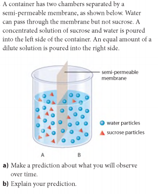 Solved A container has two chambers separated by a | Chegg.com