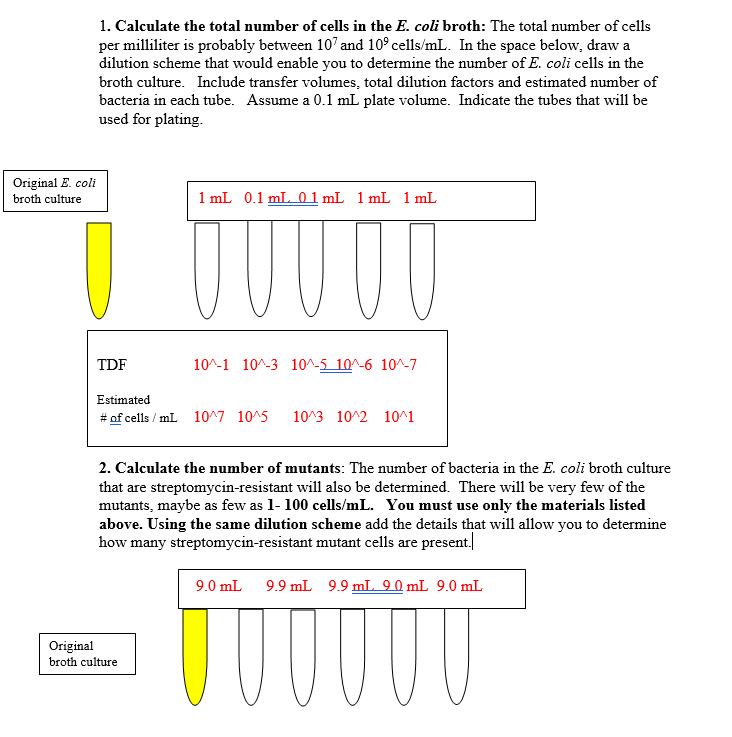 1. Calculate the total number of cells in the E. coli | Chegg.com