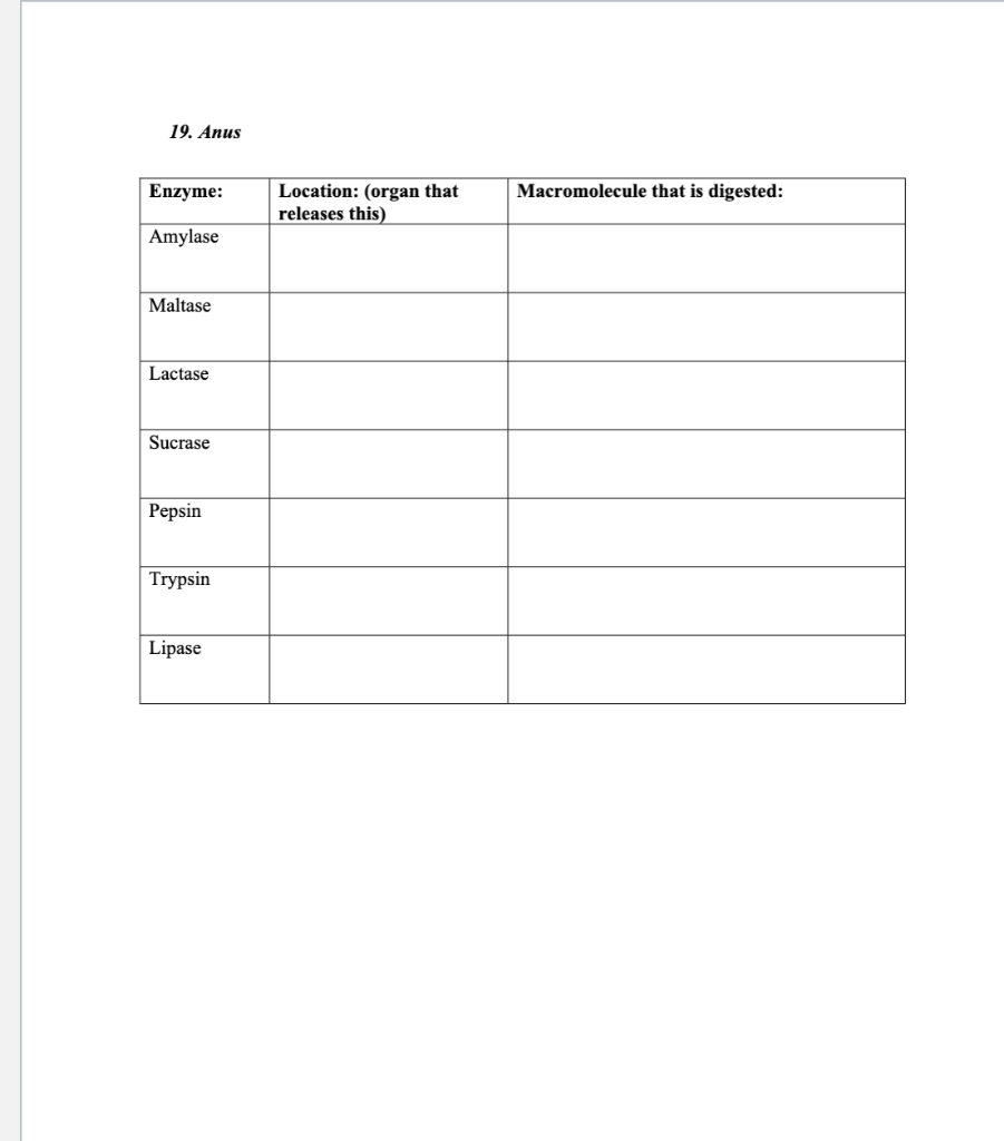 Solved Directions: Trace the movement of food through the | Chegg.com