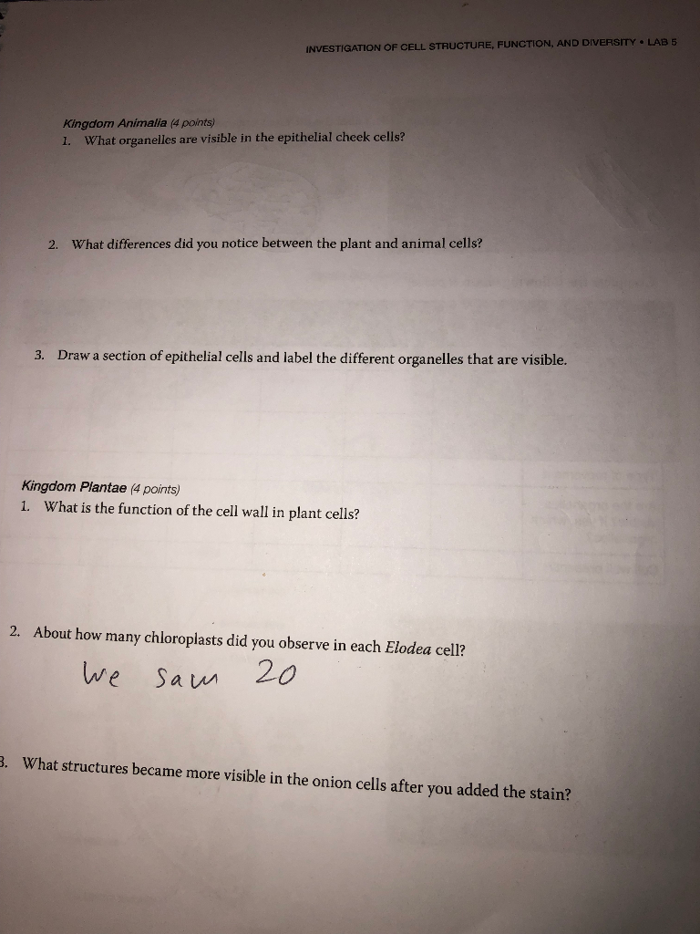 Solved LAB 5 INVESTIGATION OF CELL STRUCTURE, FUNCTION, AND | Chegg.com
