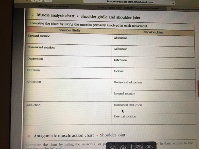 Solved 을 moreheadstate-bba bbe 7. Muscle analysis chart | Chegg.com