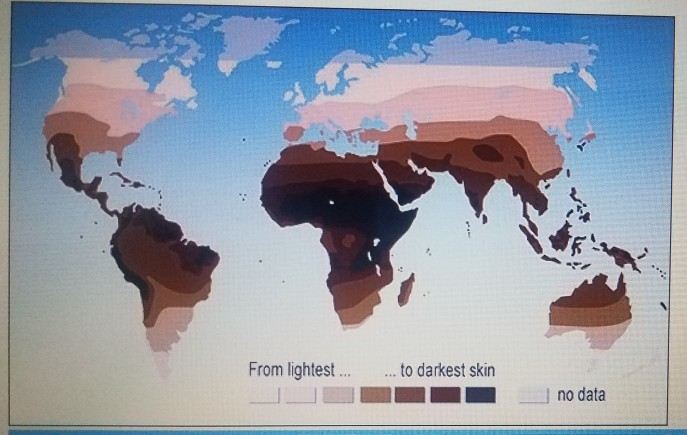 Solved which factor best explains the geographical | Chegg.com