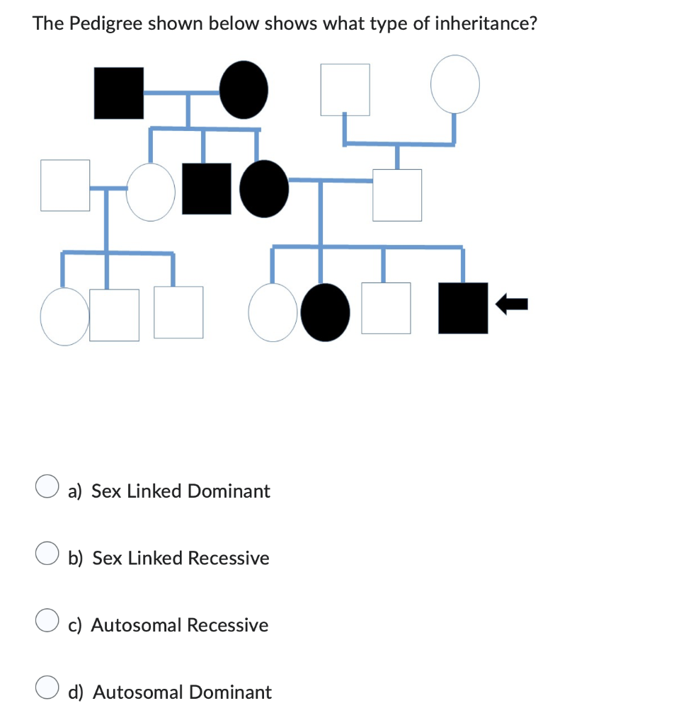 Solved The Pedigree Shown Below Shows What Type Of