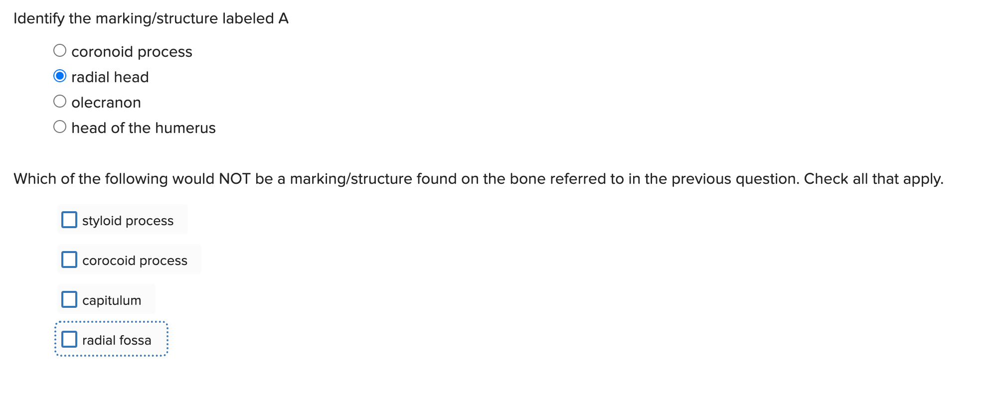 Solved Identify the marking/structure labeled A coronoid | Chegg.com