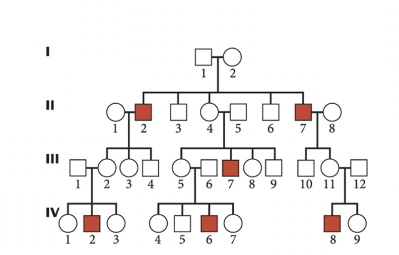 Solved Based on your selected mode of inheritance, show the | Chegg.com