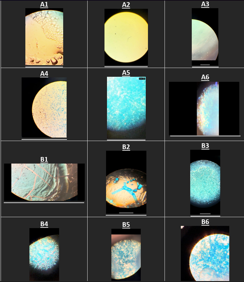 Solved Please help me with this:This is the amounts that we | Chegg.com