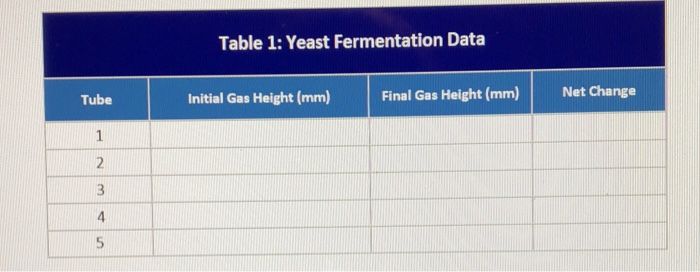 Solved Table 1: Yeast Fermentation Data Initial Gas Height | Chegg.com
