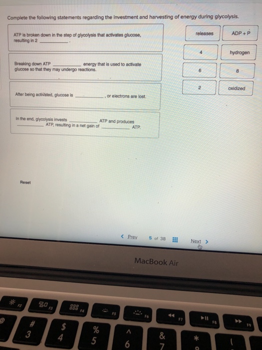 Solved Complete the following statements regarding the | Chegg.com
