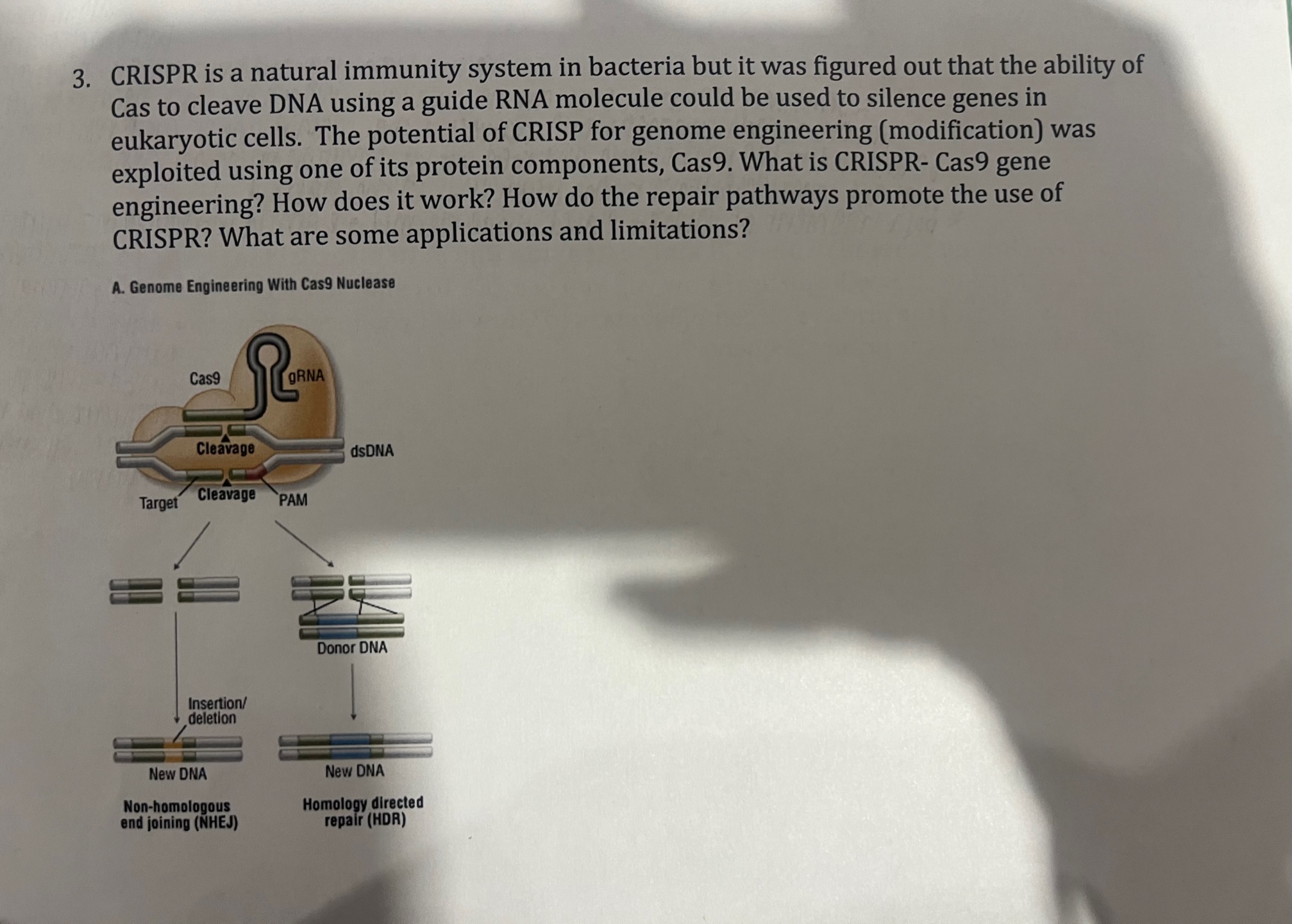 3. CRISPR is a natural immunity system in bacteria | Chegg.com
