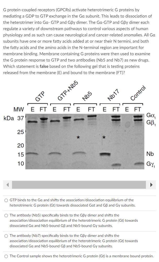 Solved G protein-coupled receptors (GPCRs) activate | Chegg.com