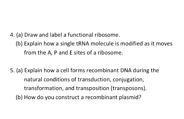 Solved 4. (a) Draw and label a functional ribosome. (b) | Chegg.com