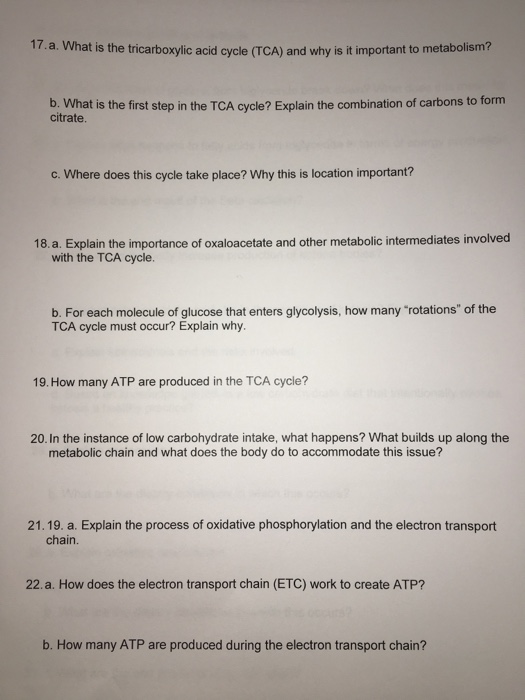 Solved 17.a. What is the tricarboxylic acid cycle TCA) and | Chegg.com