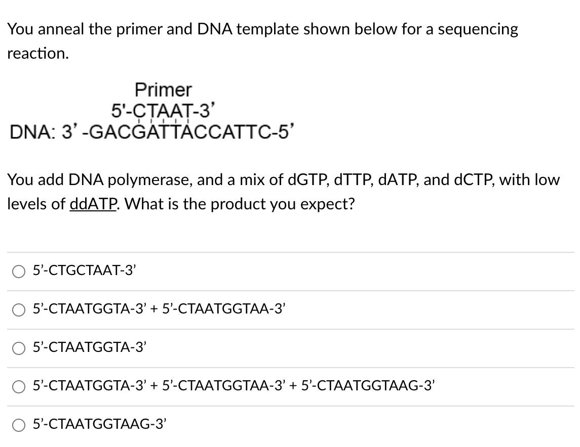Solved You anneal the primer and DNA template shown below | Chegg.com