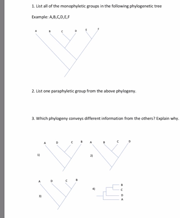 Solved 1. List all of the monophyletic groups in the | Chegg.com